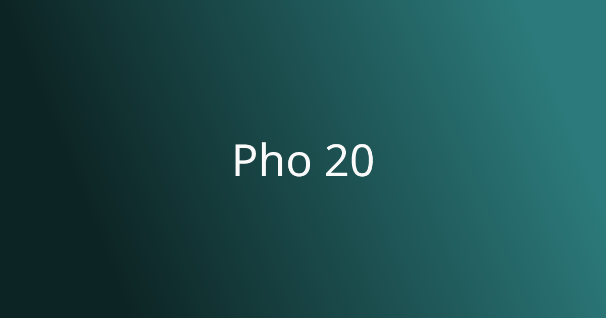 Order Authentic Vietnamese Online | Pho 20 - Pickup or Delivery Available